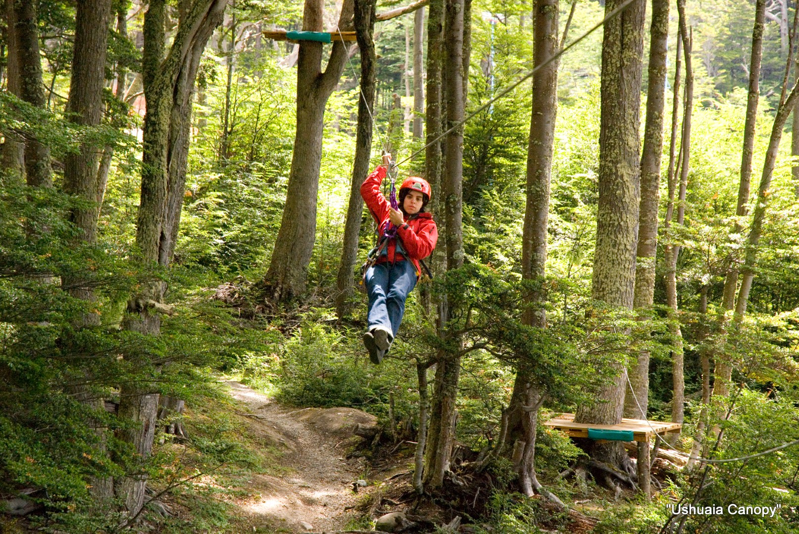 Canopy - Secretaria de Turismo Ushuaia